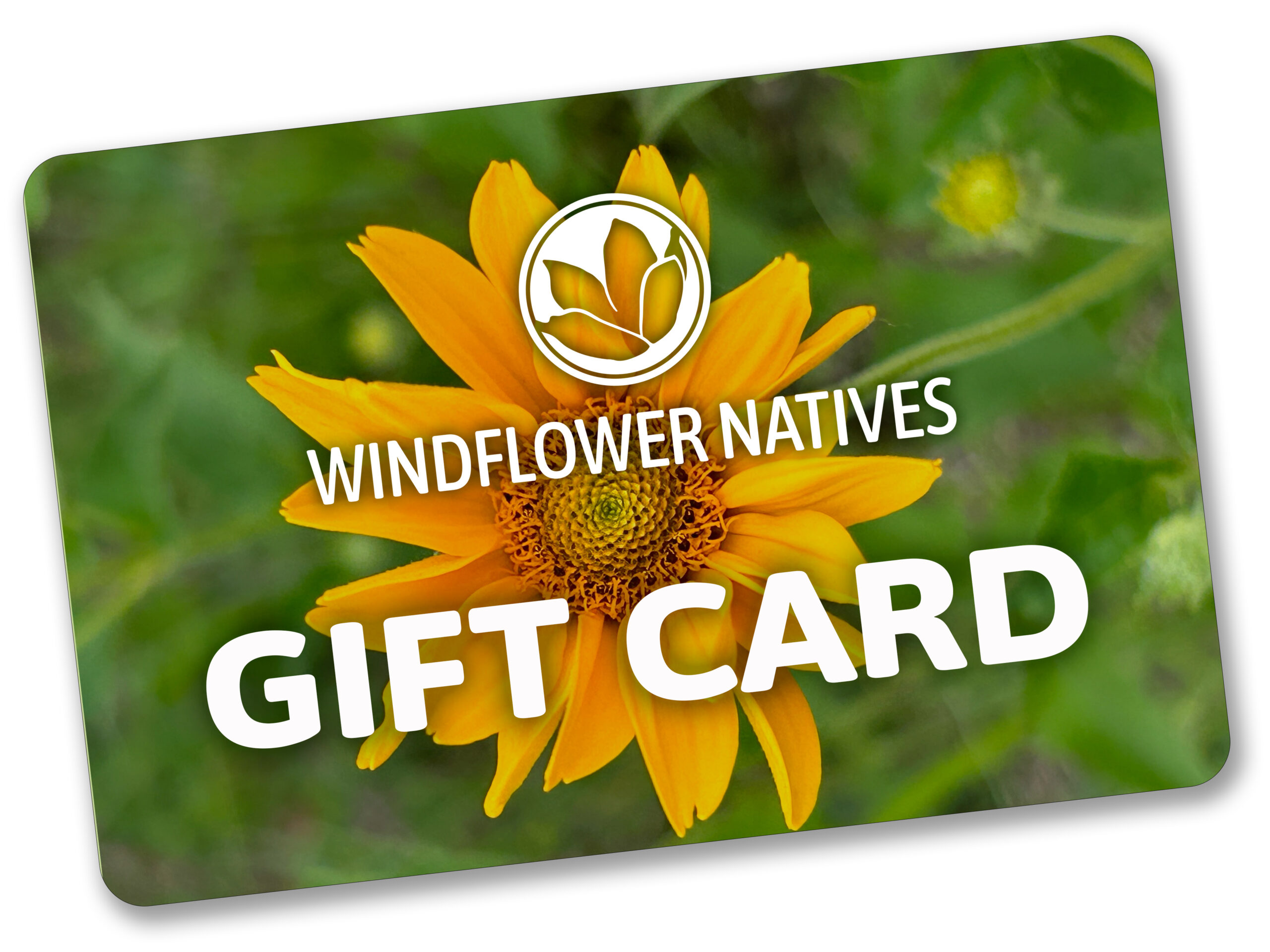 E Gift Card Windflower Natives